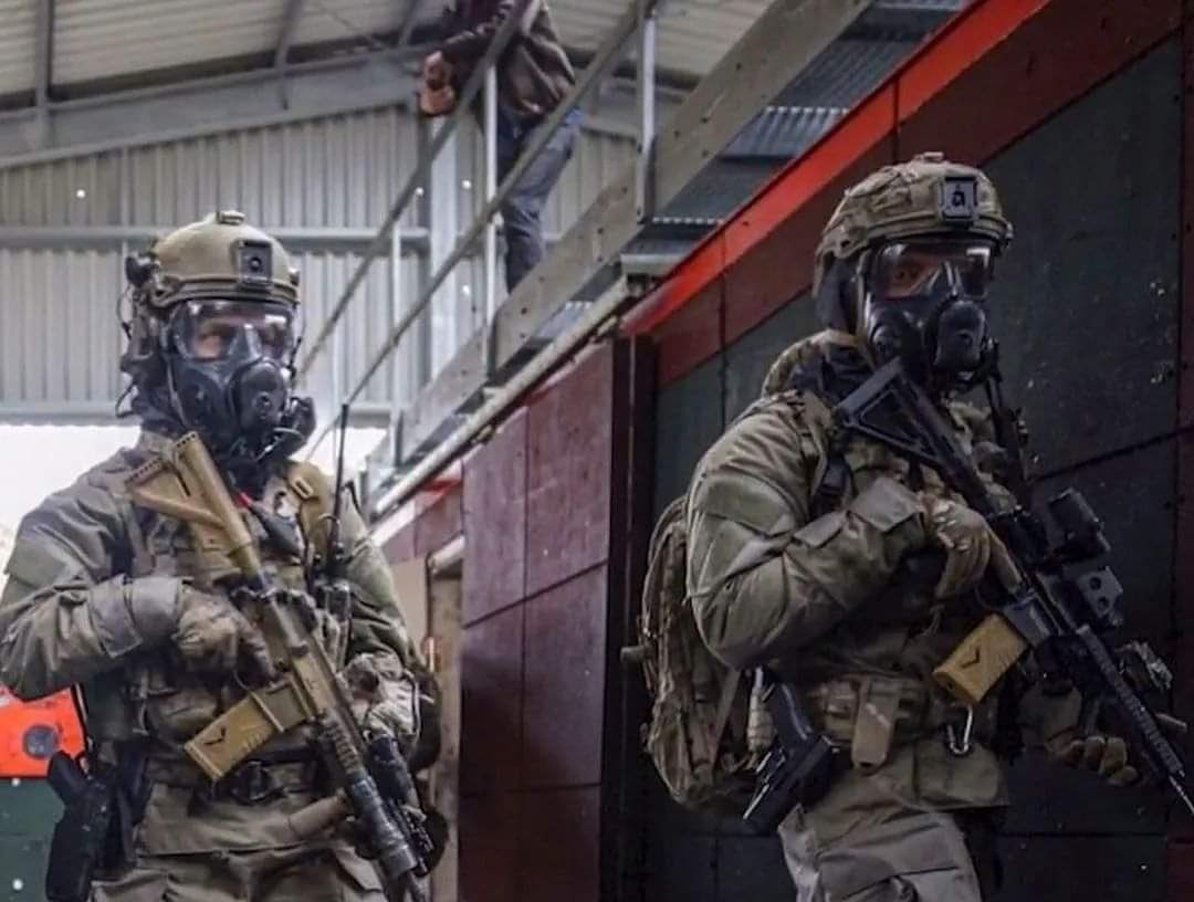 daytona 📻 on Twitter: "Polish JW GROM"