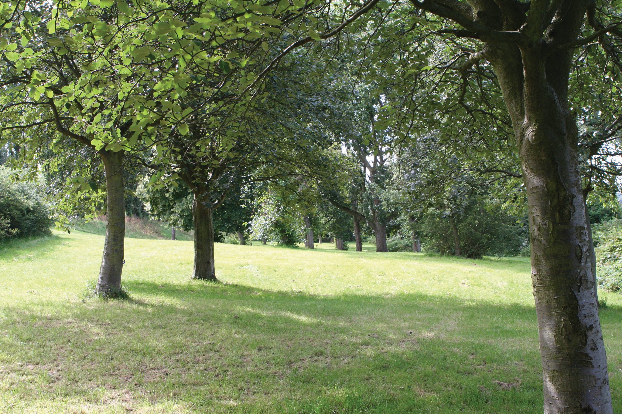 Lewisham Council on Twitter: Lewisham Council on Twitter: