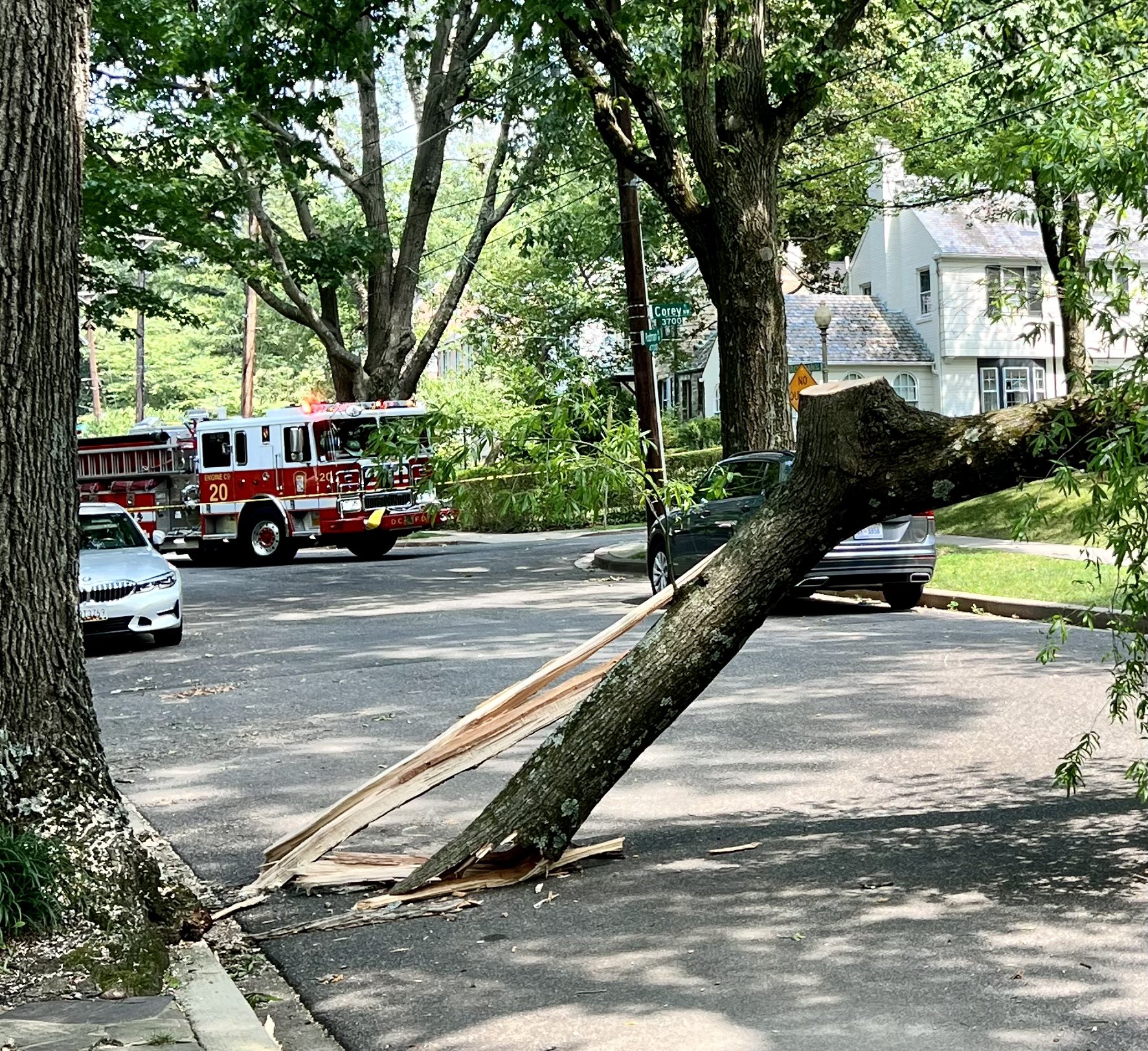 DC Fire and EMS on Twitter: "DC Fire & EMS on scene with a tree, wires, and transformer down at ...