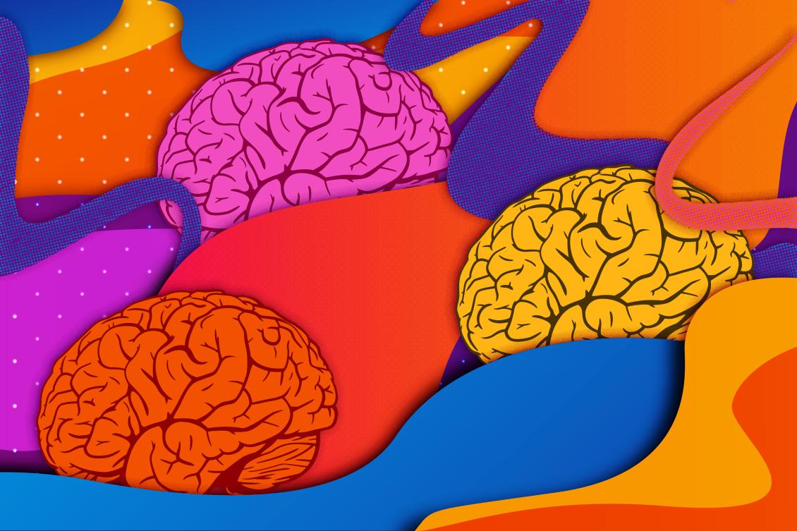 MIT Brain and Cognitive Sciences on Twitter: MIT Brain and Cognitive Sciences on Twitter: