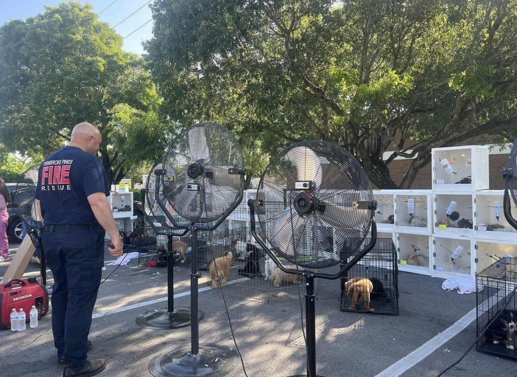 WSVN 7 News on Twitter: "170 PUPPIES SURVIVE FIRE: A quick response ...