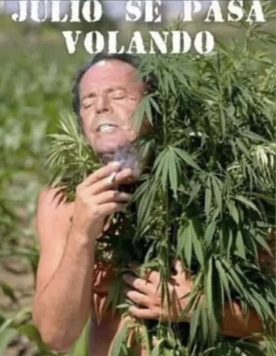 Capture Bizarre® on Twitter: