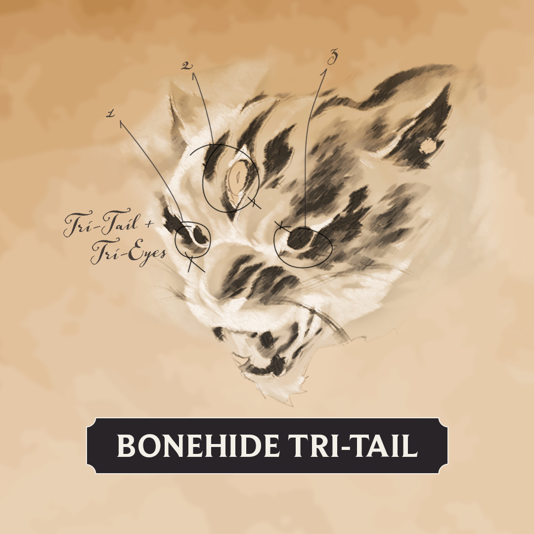 Legends of Runeterra on Twitter: "Amazing. Terrifying. The Bonehide Tri-Tail is certainly both ...