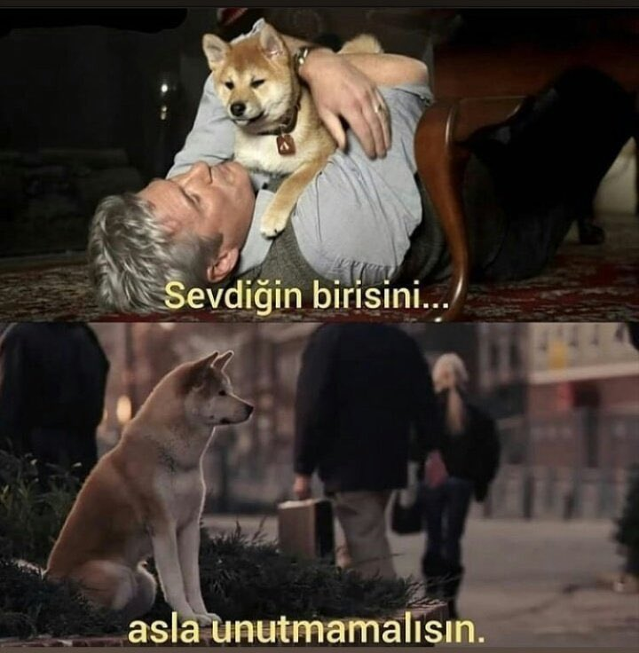 Hachiko Movie Quotes