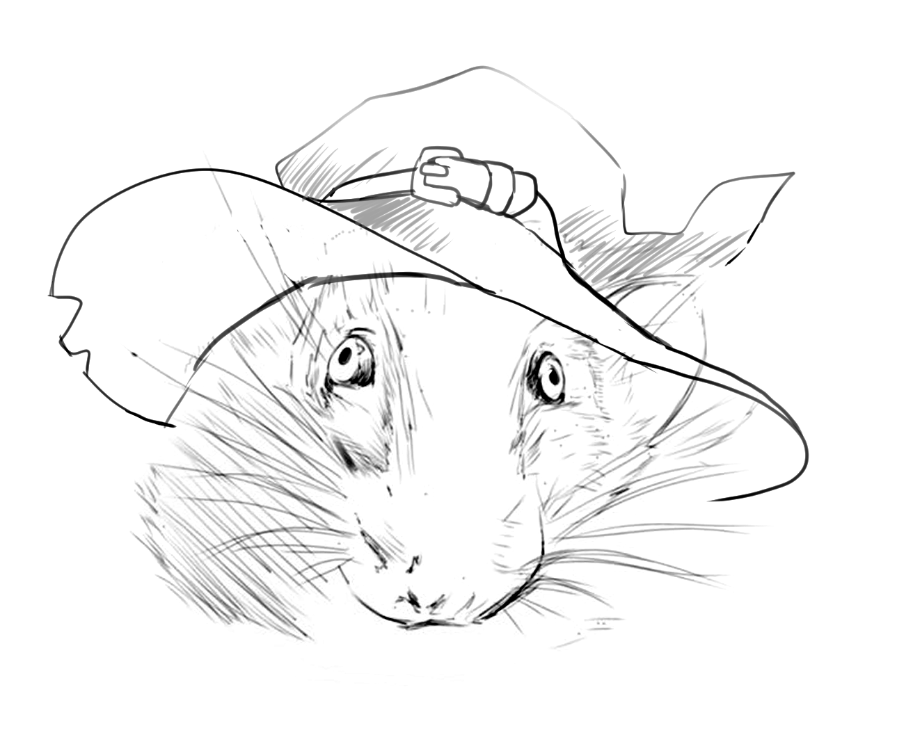 Boo the RAT 🐀🎃 on Twitter: "@Yaboiastral they locked me in a room, a rubber room, a rubber room ...