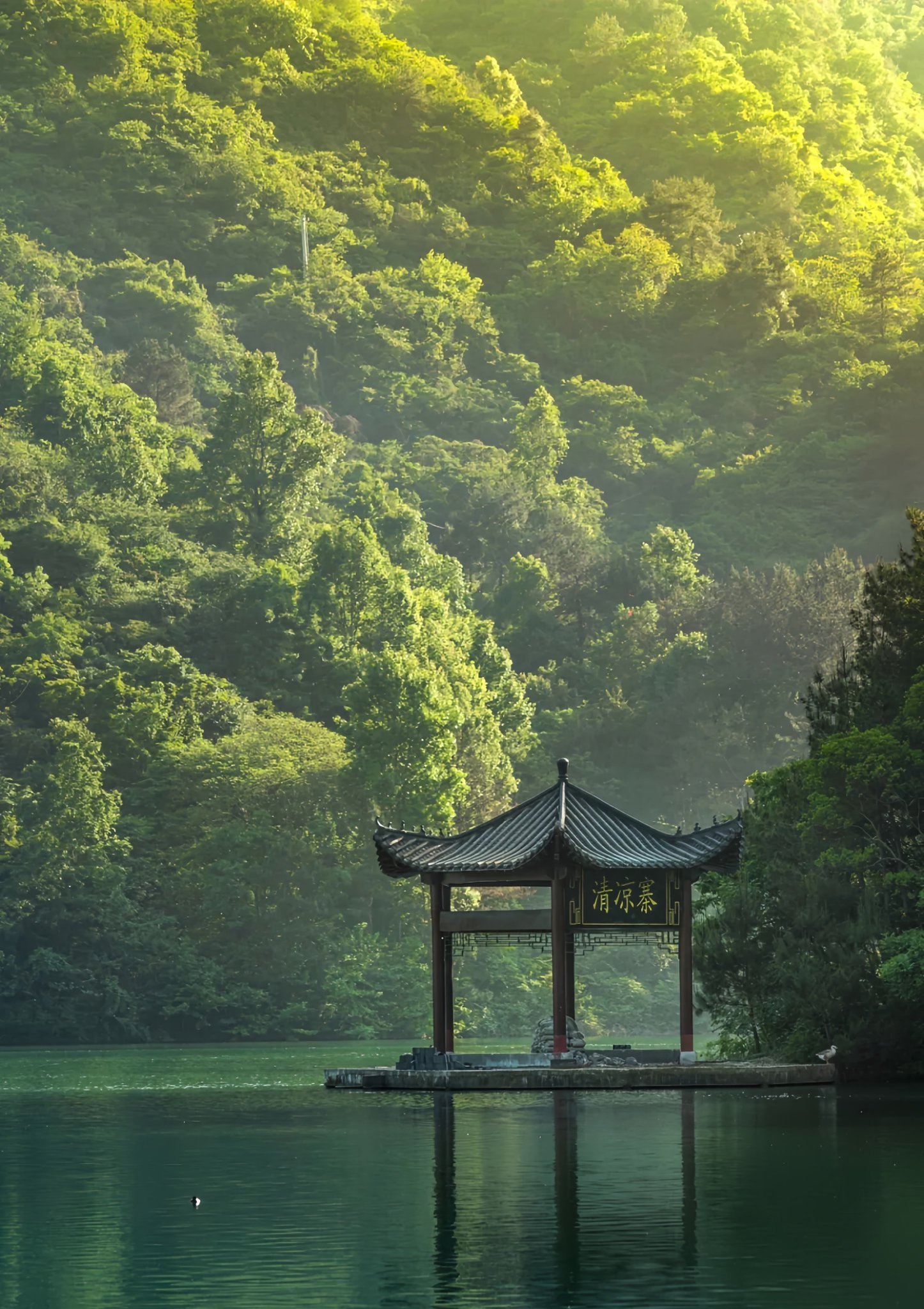 Visit Wuhan on Twitter: "The stream in Qingliangzhai (清凉寨) murmurs gently as the cool water ...