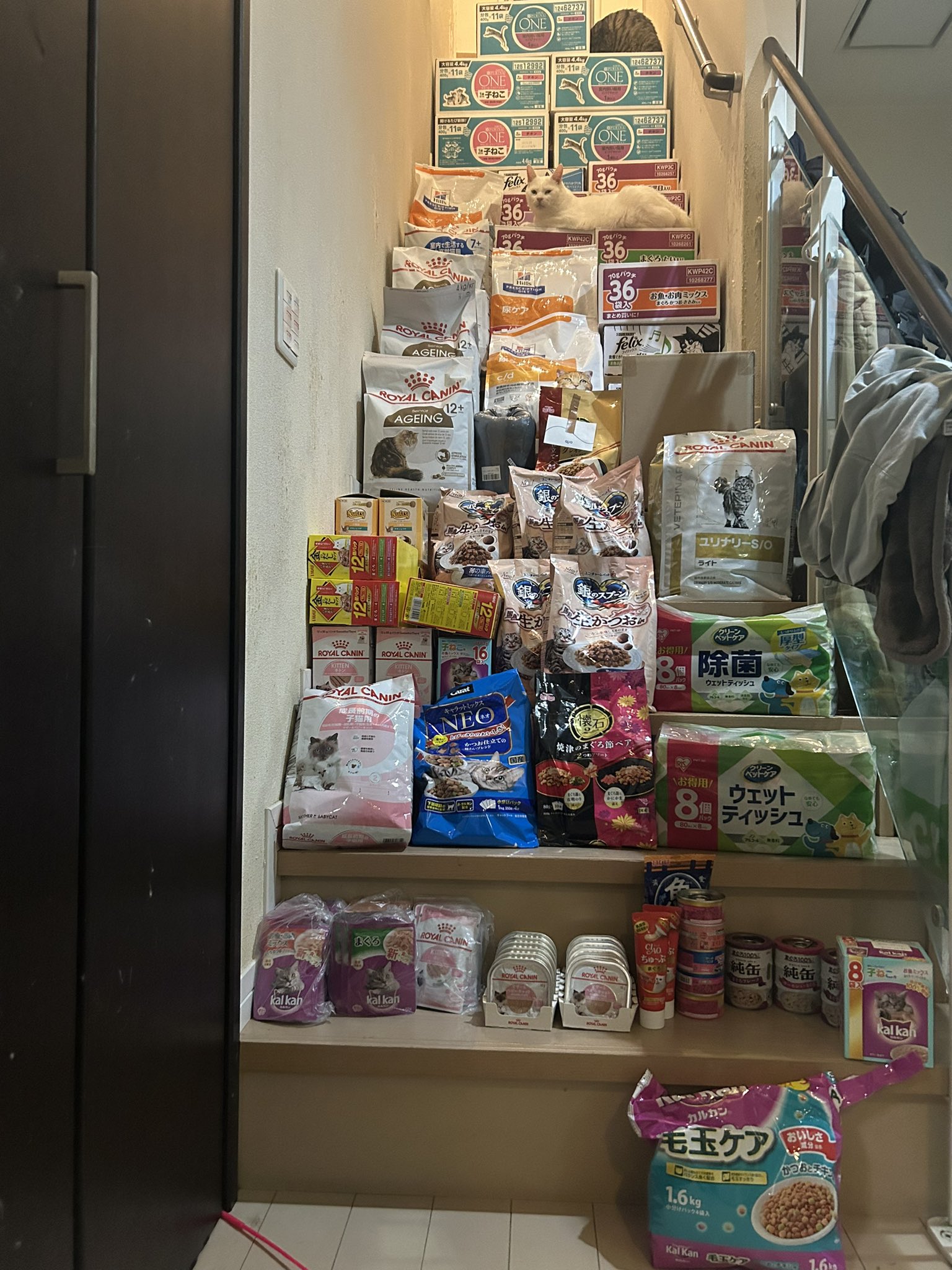 hinatabocco.k on Twitter: "O様、T様、K様、M様、N様、S様、H様、Y様、I様、匿名の方4名様よりご支援をいただきました。助けていただき本当に感謝いたします🙇皆様 ...