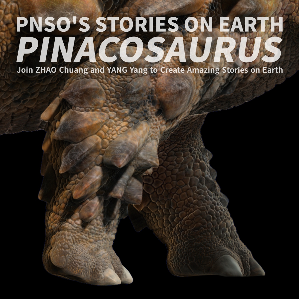 Pinacosaurus Mases