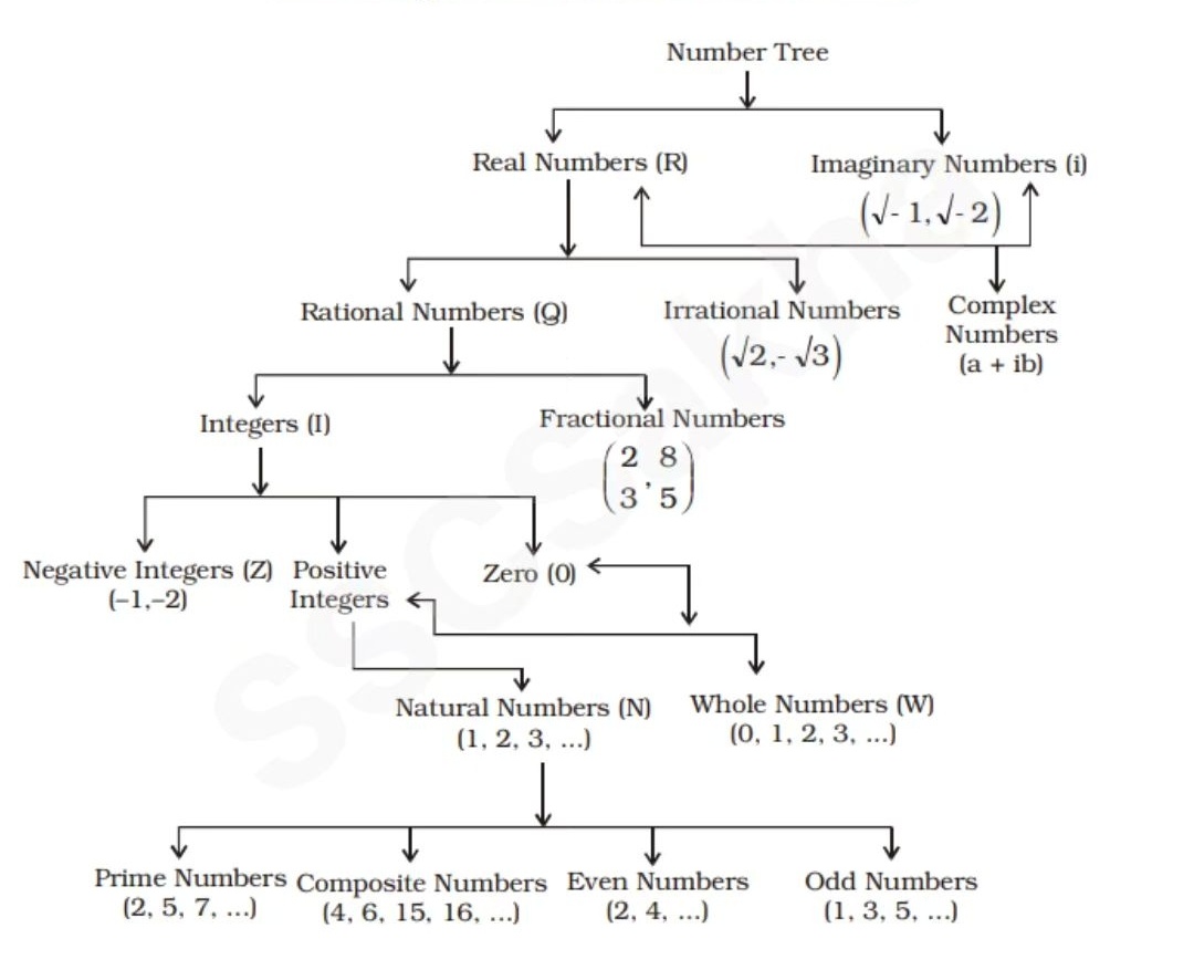 General Knowledge UPSC TSPSC on Twitter: "Number Tree of Mathematics"