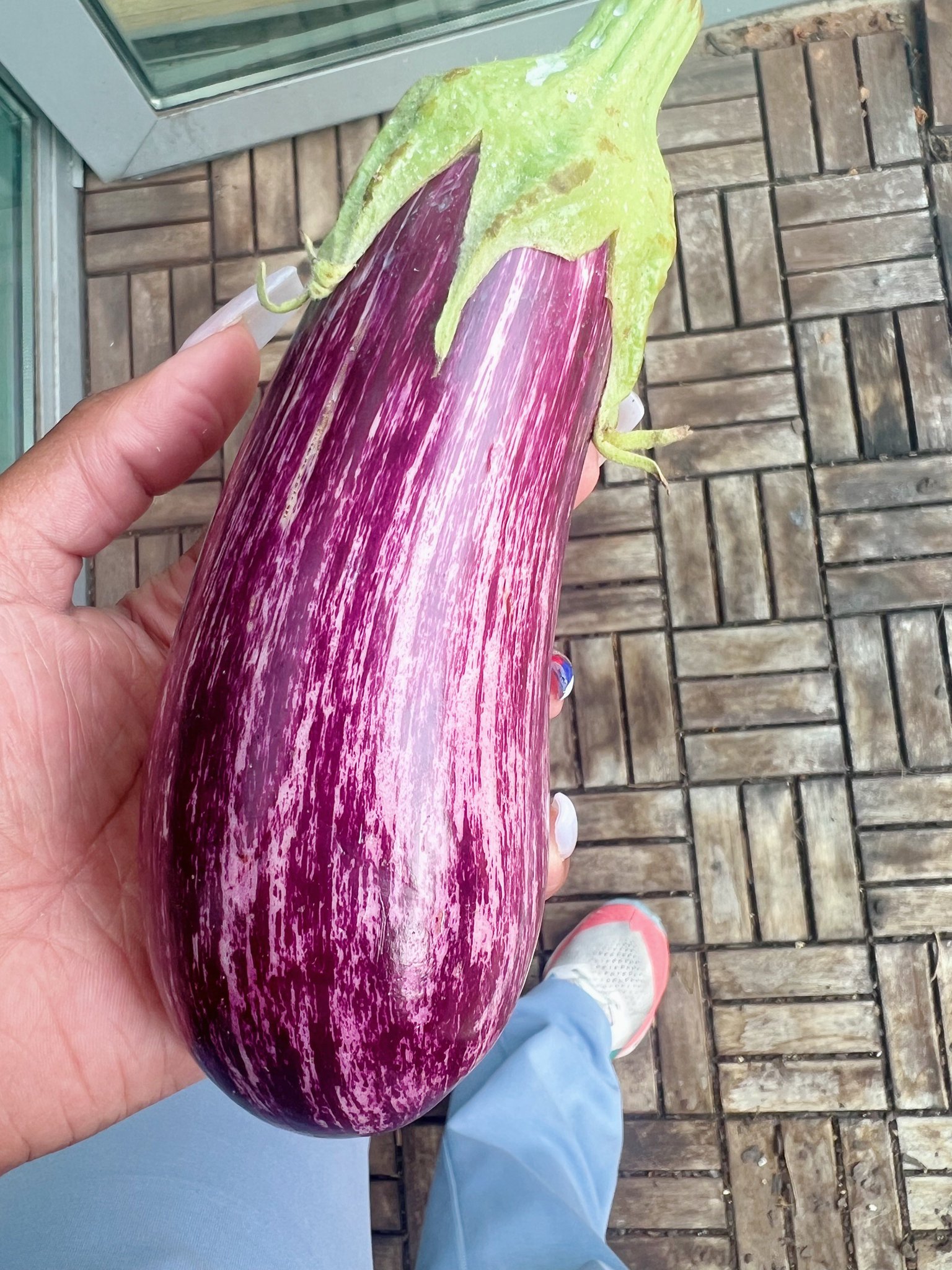 Priscilla Reiss On Twitter My Csa Share This Week Came With Eggplant π Lmao It Looks Just Like