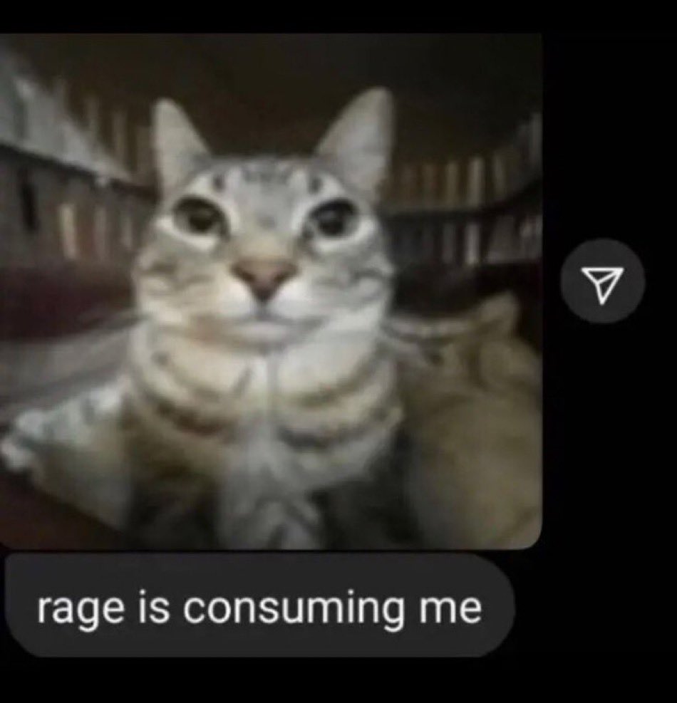 Cats that are literally me on Twitter: Cats that are literally me on Twitter: