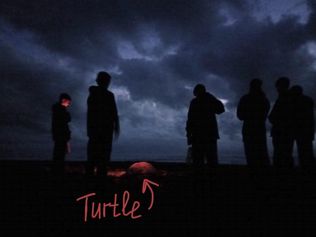 Welcome to Sir Henry Floyd Grammar School