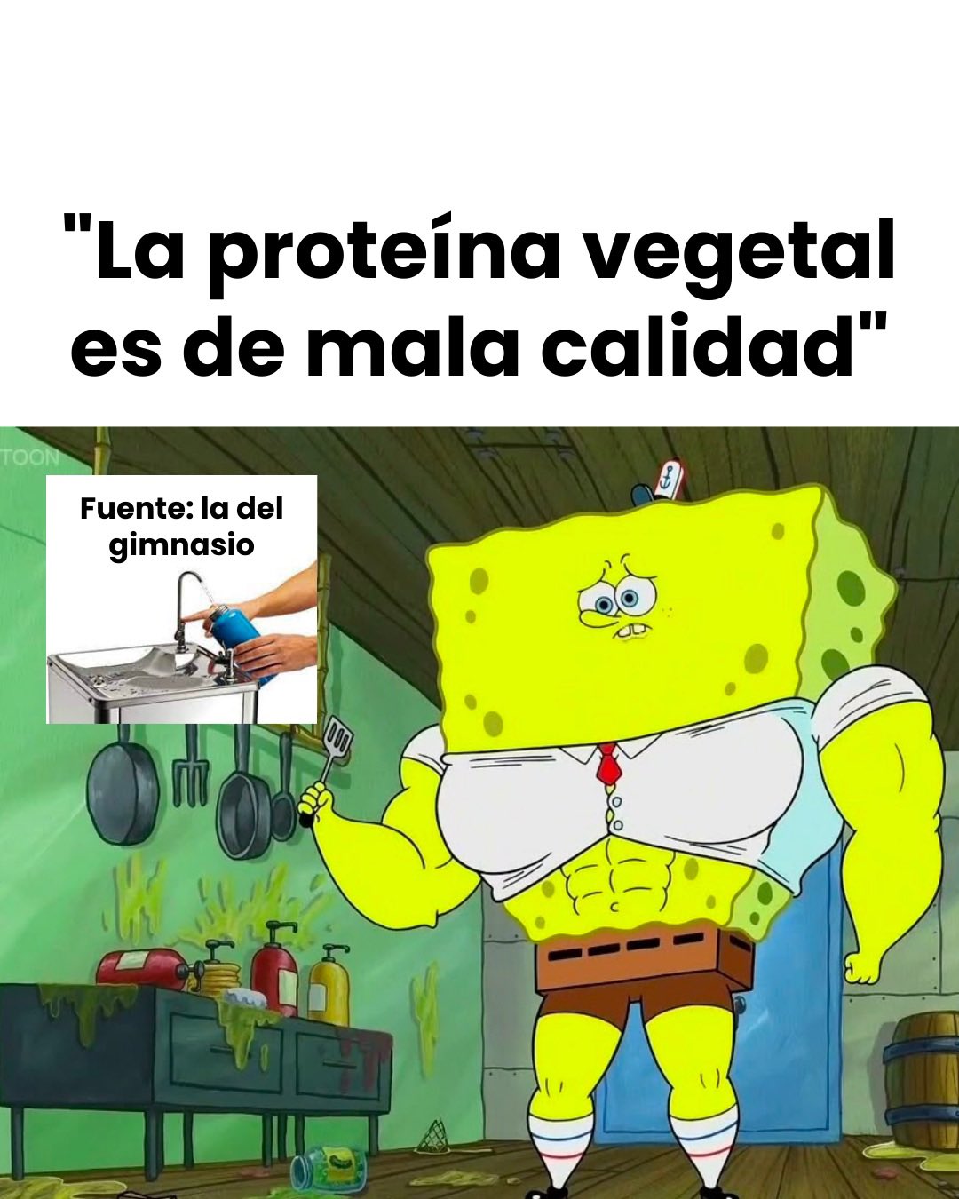 Fotos Engracadas De Memes Do Bob Esponja