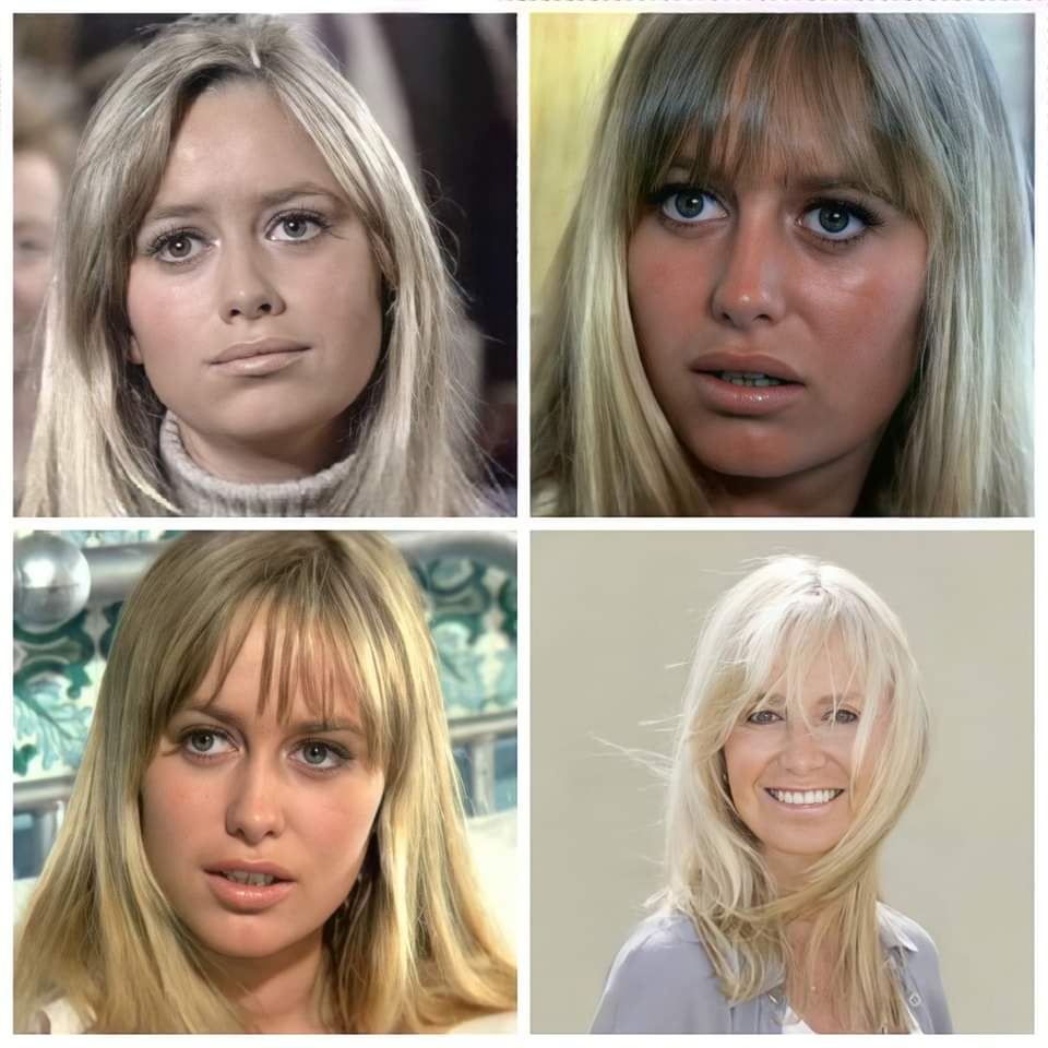 Susan George Today