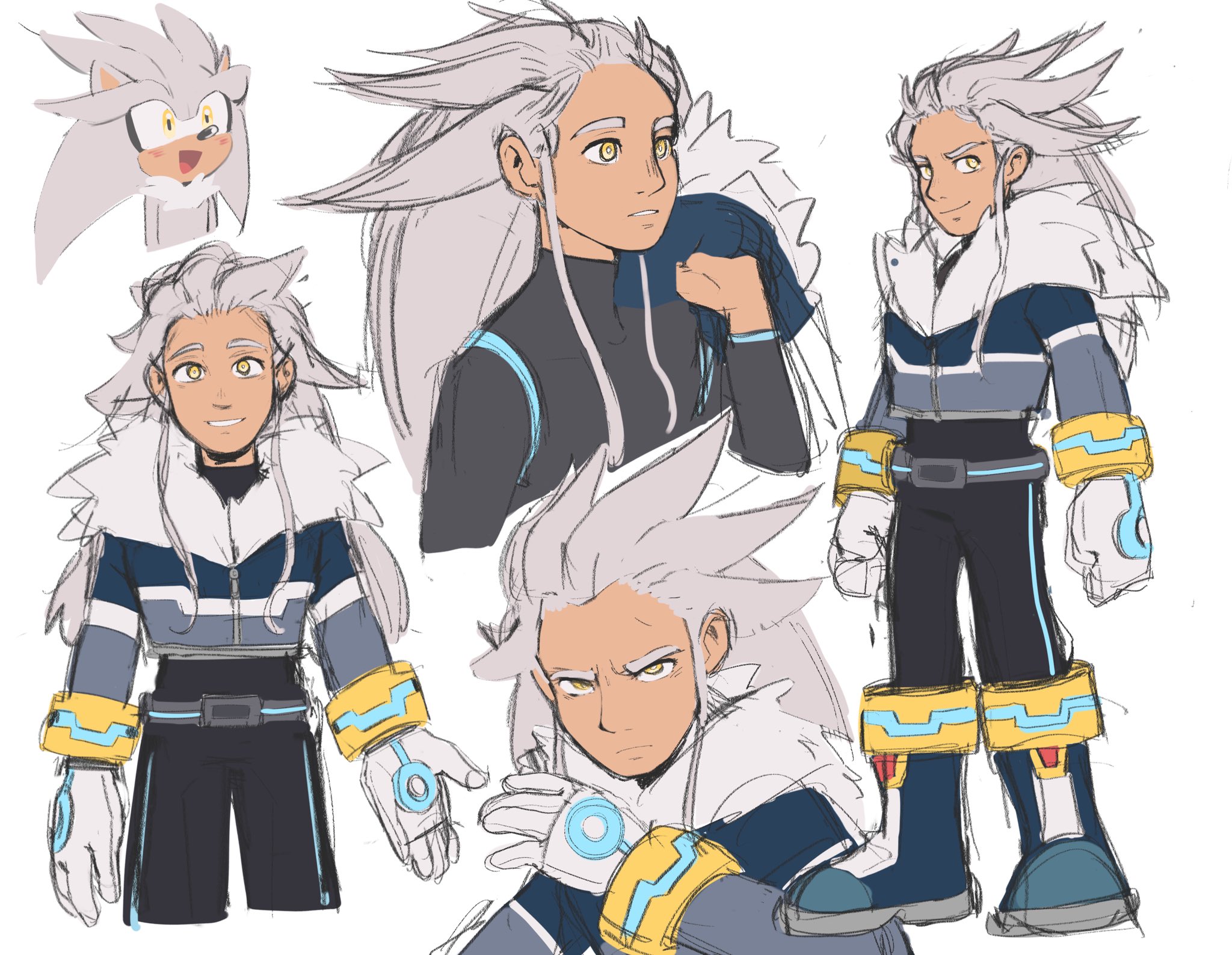 Sonic Silver Human