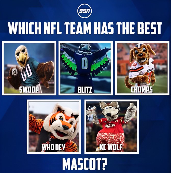 Which NFL teams have bird mascots? Franchises' match-day star's history ...