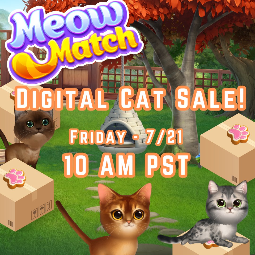 Meow Match 😼😼 on Twitter: "We'll let the cat out of the bag...👝 Meow Match will be hosting our ...