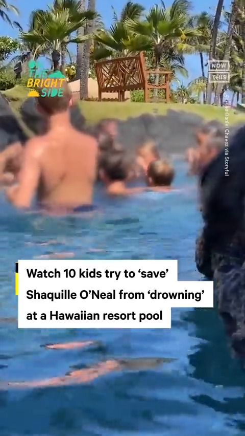 NowThis on Twitter: NowThis on Twitter: