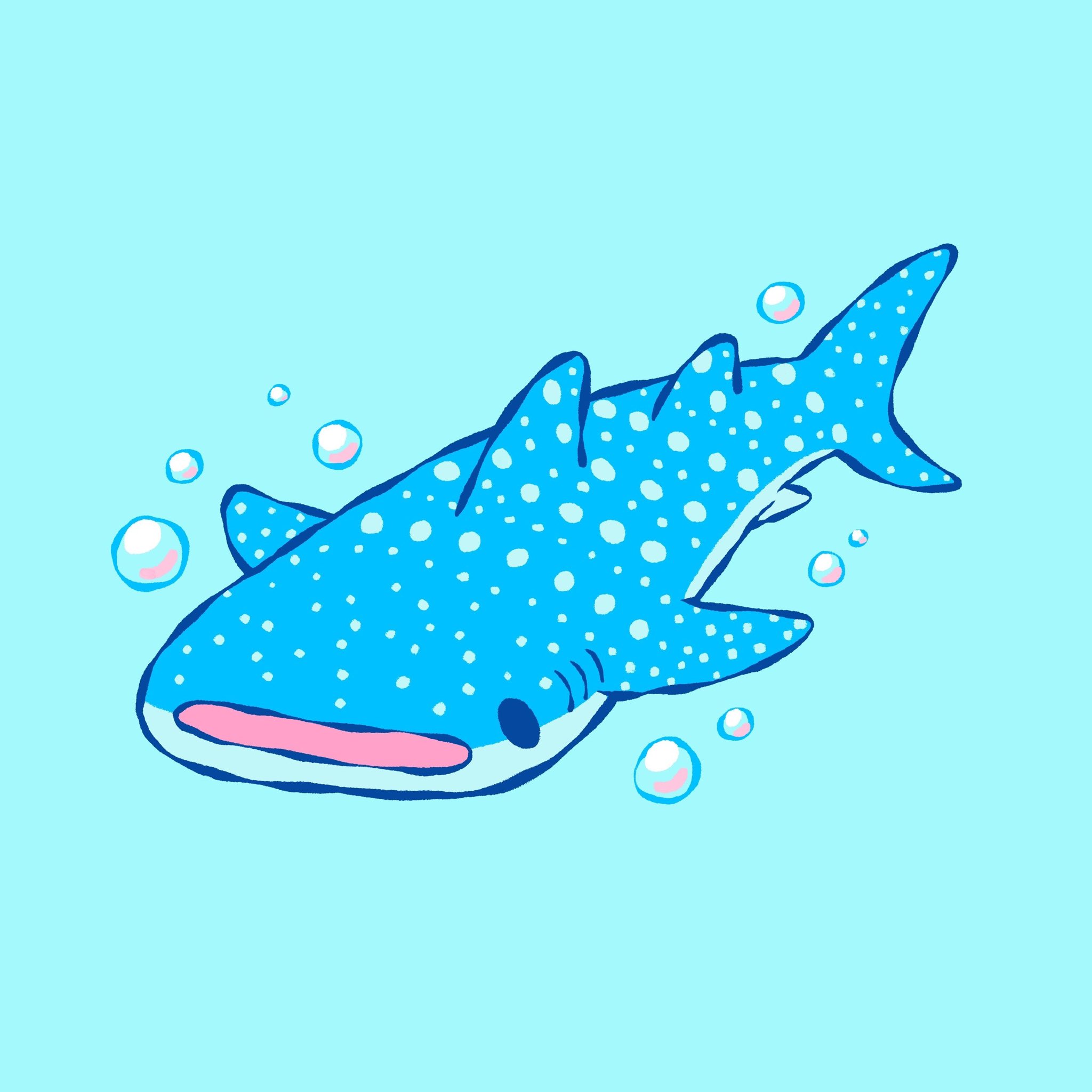 Cartoon Whale Shark