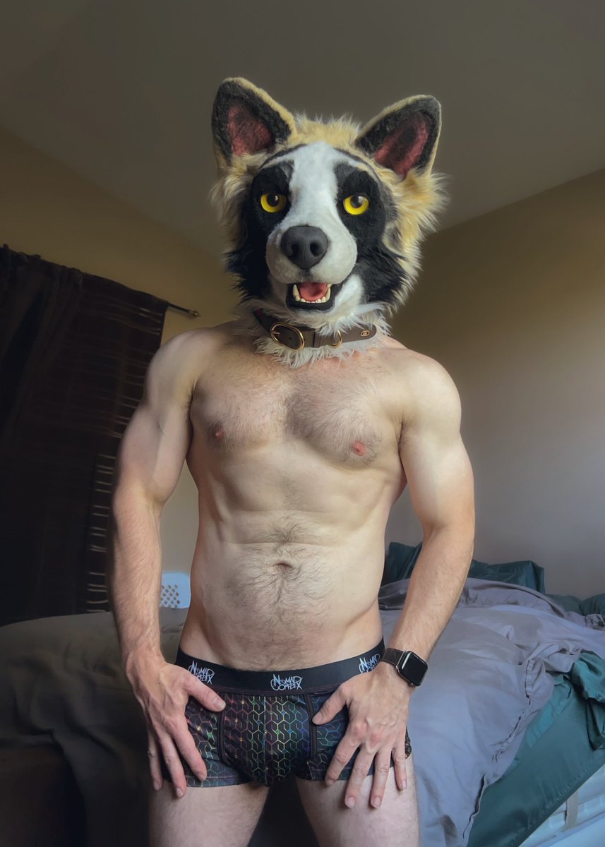 SpotGideon on Twitter: "not a pick-up line to say my bulge looks good in these @NomadComplex ...