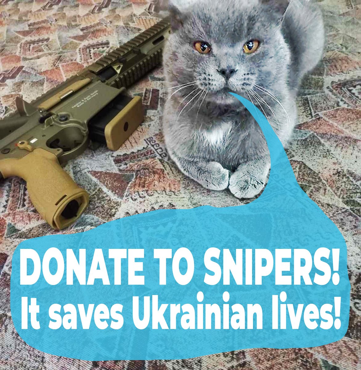 Cats With Snipers Rifles