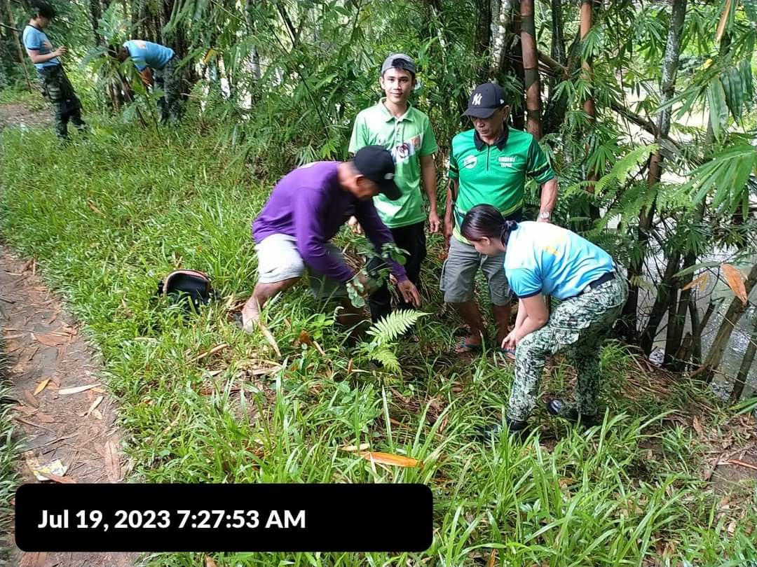 Renato Ragus, Jr. on Twitter: "RT @WesternPcadg: Tapaz- Nagsagawa ng tree planting activity ang ...