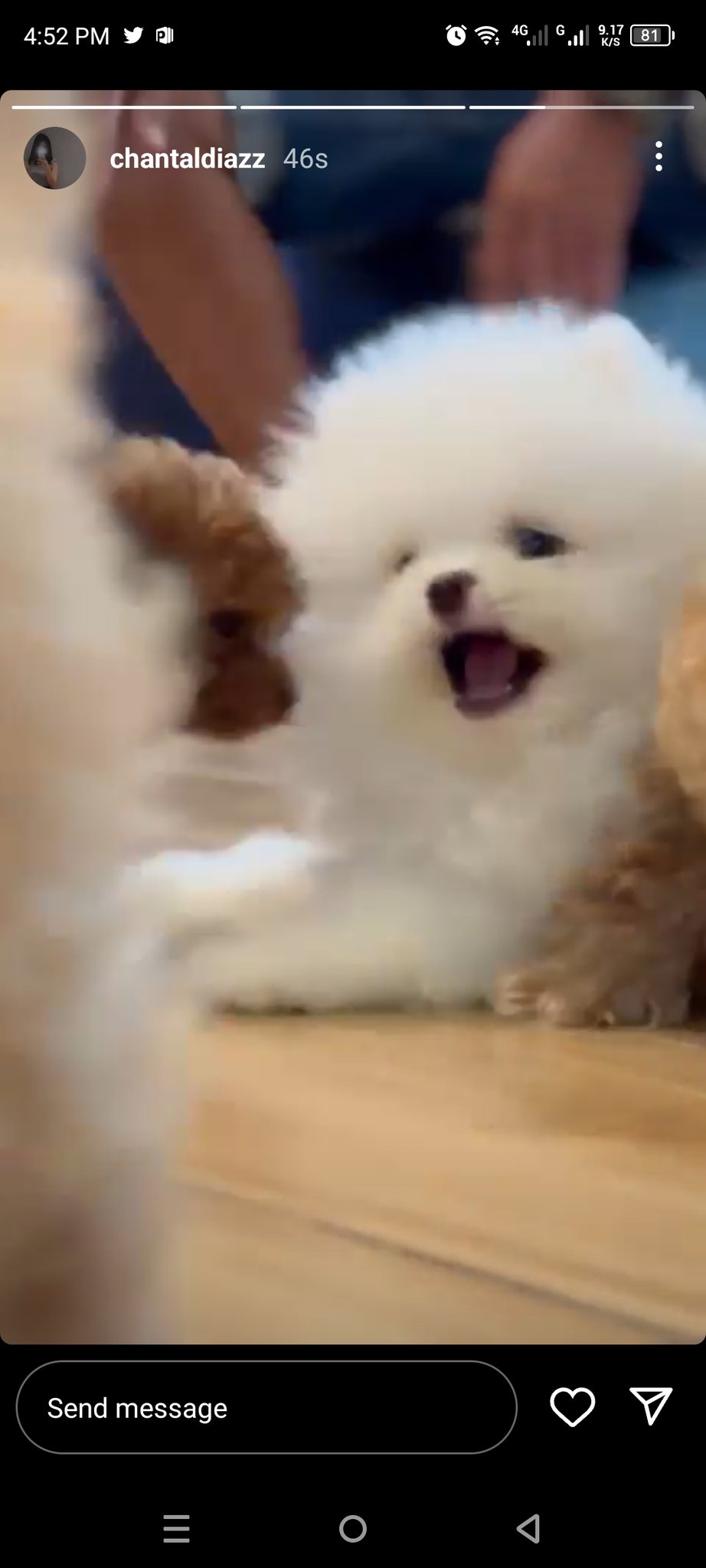 FRANSETHOFFICIAL_ on Twitter: "Ate tal: snowy 🐶💙 #FranSeth https://t.co/mMY7oHcKdF" / Twitter