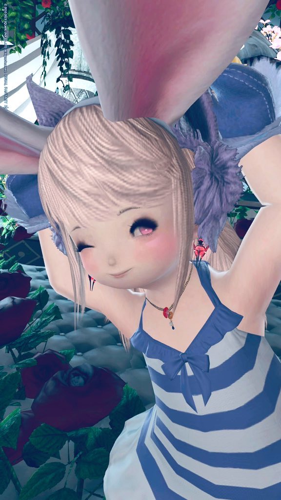 Miu🌸P 7ｷｬﾗ天獄ｺﾞﾙﾍﾞｰｻﾞ済 on Twitter: "@miri_tsukumo @FF42483828 あーww納得っ🤣 昨日ミコッテしたから今日からﾗﾗﾌｪﾙ🐣で通って ...