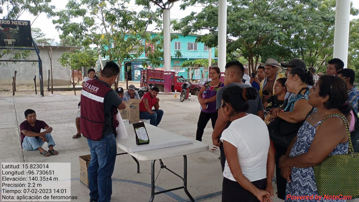 Sefader Oaxaca On Twitter Capacitación Y Asistencia Técnica Directo A