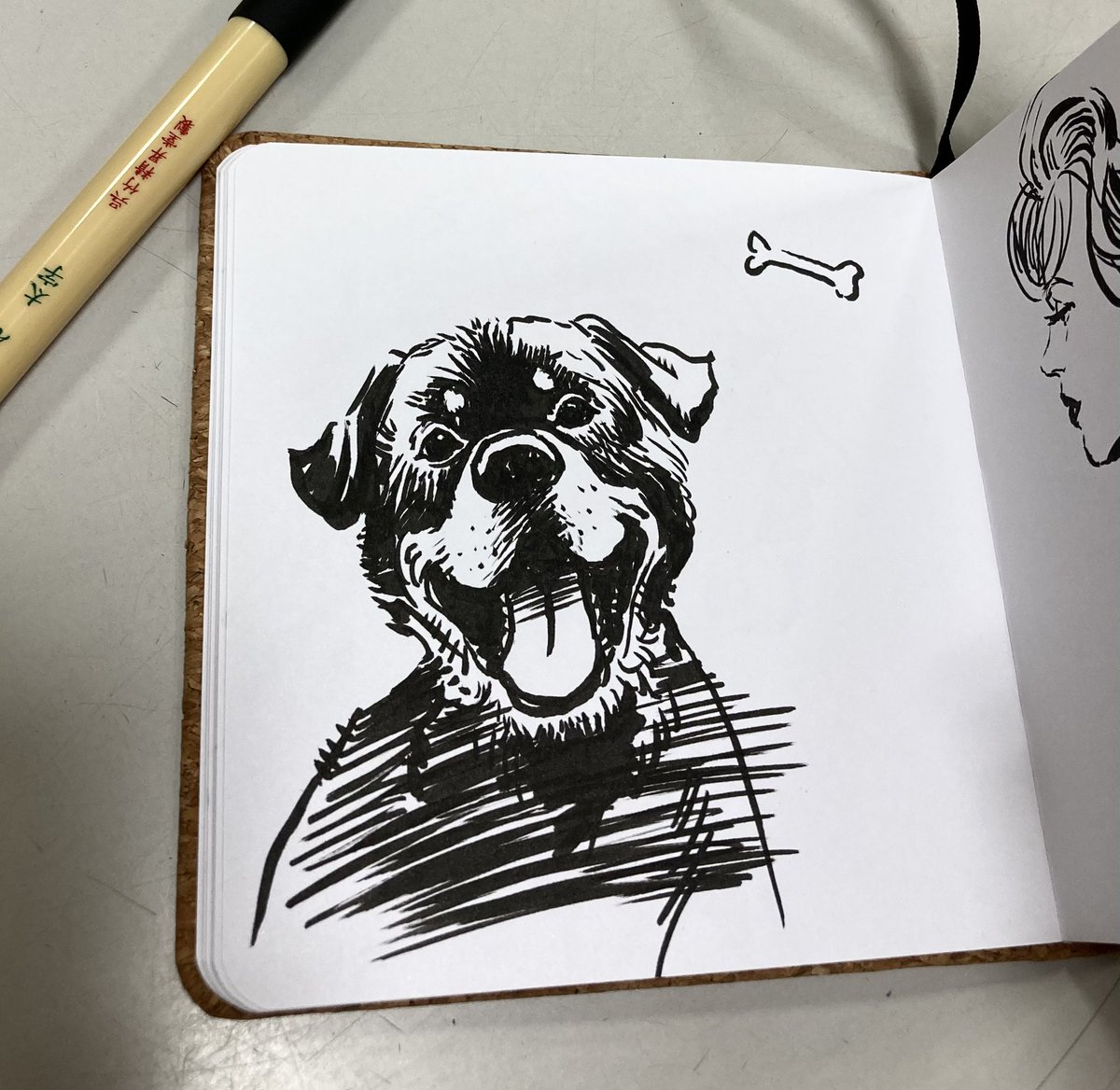 「2023.6.25 恵比寿ザ・ガーデンホール「ムーンライダーズ ライブ」での 鈴木慶一さん。 #watercolor #」ganpukuの漫画