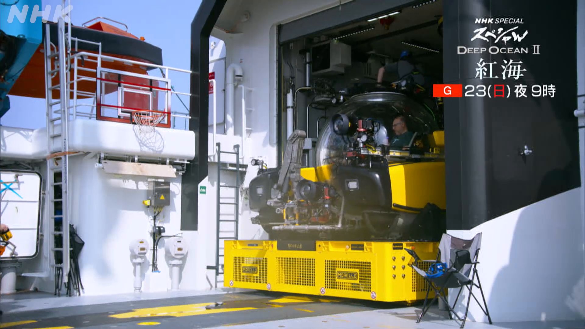 NHKスペシャル公式 on Twitter: "極彩色の熱帯魚が泳ぐ紅海で、未知なる深海のフロンティアに挑む! 海底にもう一つの水面が!? 原始の海に近い環境で見た、神秘の海底景観と深海生物の ...