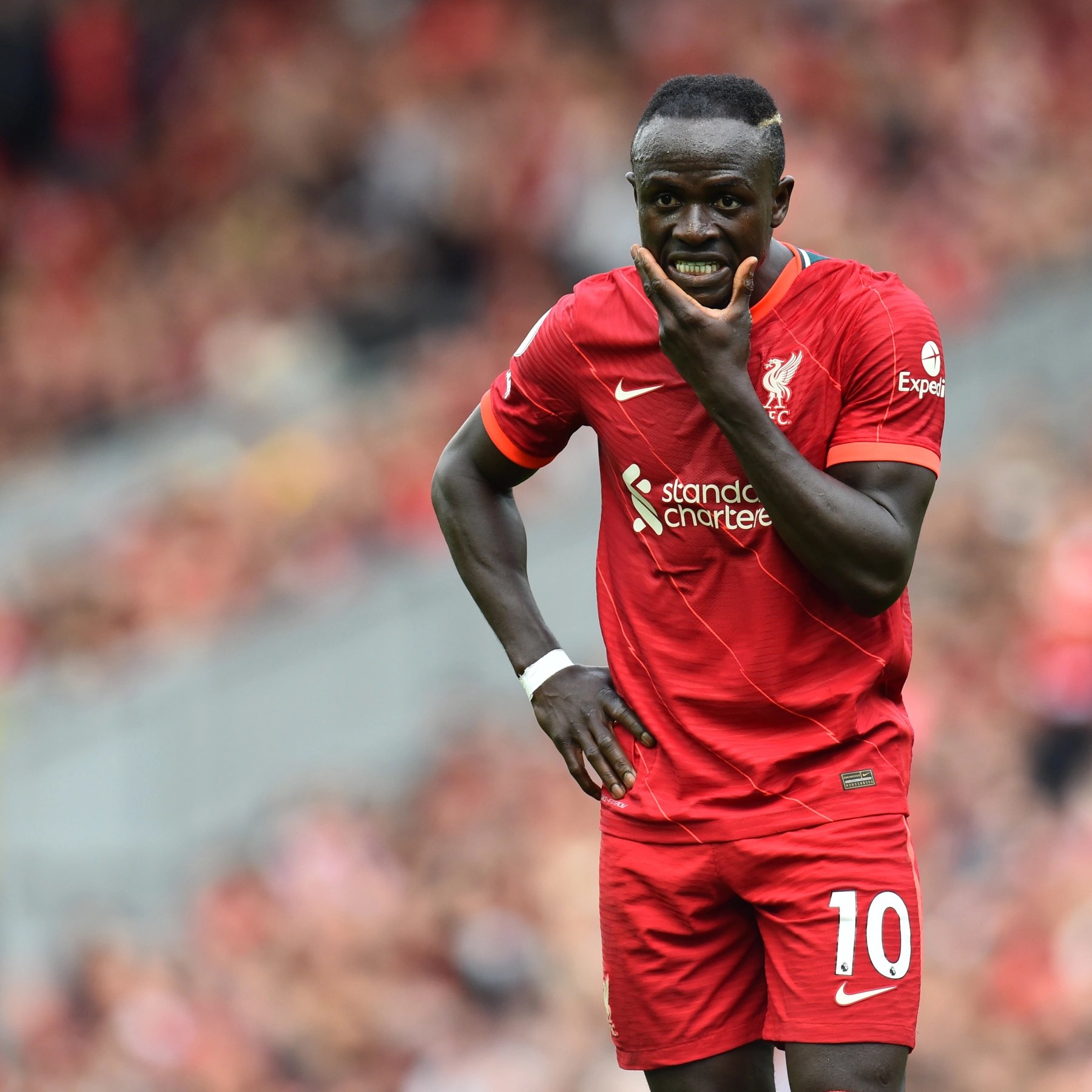 EPL World on Twitter: "🚨 عاجل : 🟡🔥 النصر السعودي في مفاوضات مع لاعب ليفربول السابق ساديو ماني ...