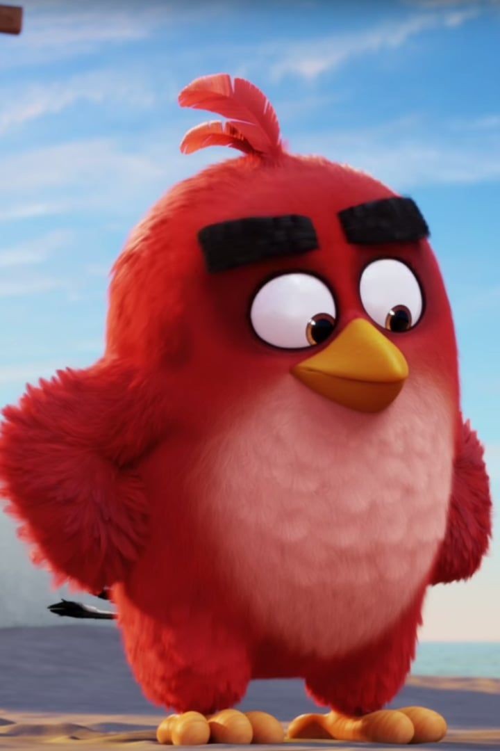Red Angry Bird Wallpaper