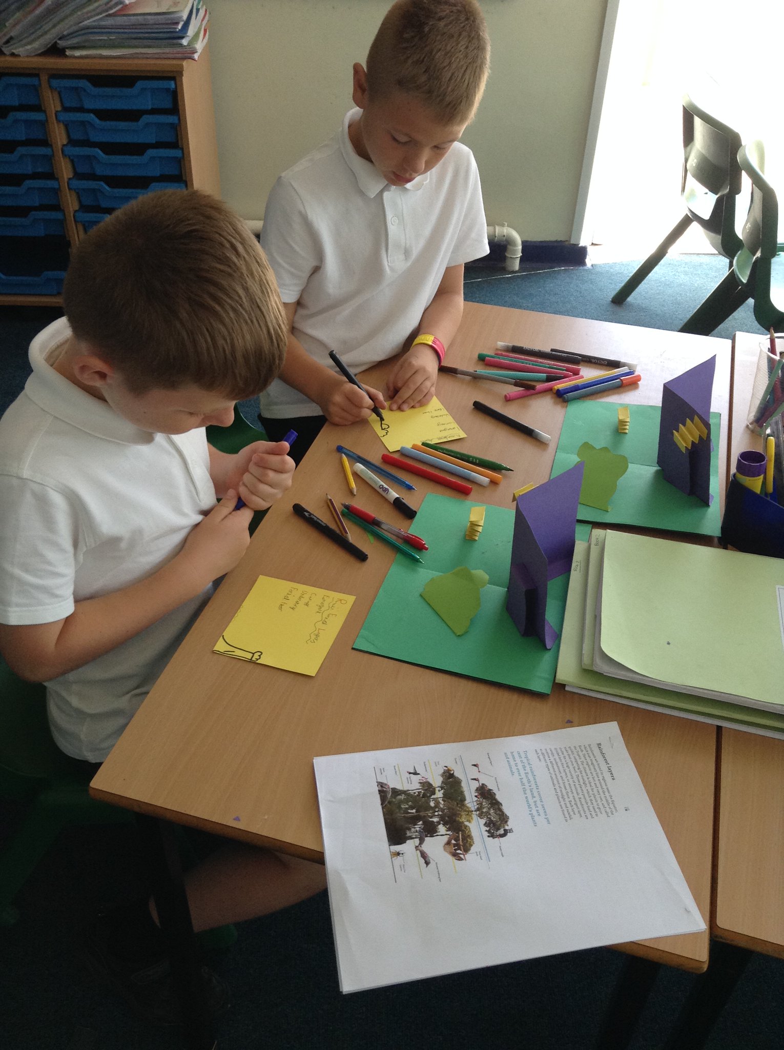 Nova Primary School on Twitter: "Our Y3 engineers are busy making rainforest pop-up books to ...