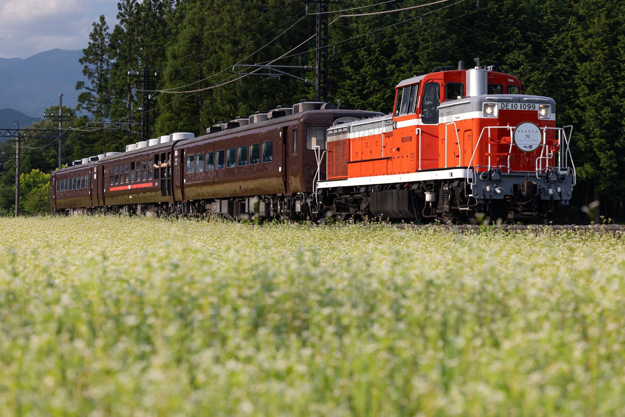 shinta on Twitter: "2023/7/16 DL大樹8号/DE10-1099牽引茶編成 分厚い雲の際に太陽がなんとか居残りました。相変らずの倉ケ崎ウェザーで若干ハラハラします ...