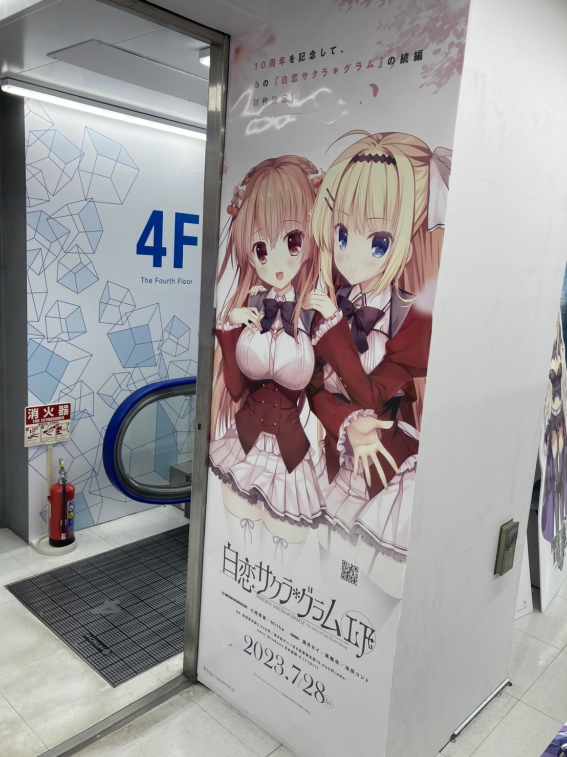 NanaWind公式@新作｢白恋サクラグラムLF｣7月28日発売 on Twitter: "【販促紹介】7/28発売『白恋サクラグラムLF』のショップ現地写真｢ソフマップAKIBA ...