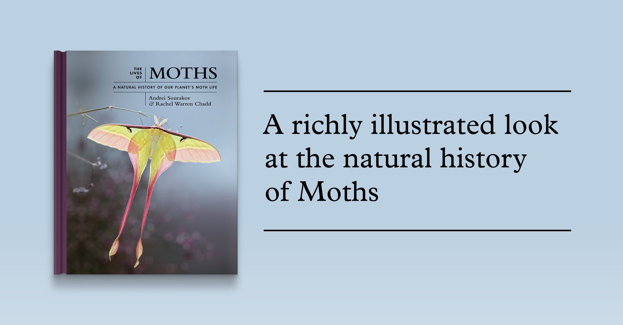 Princeton University Press on Twitter: "Celebrate #MothWeek with The ...