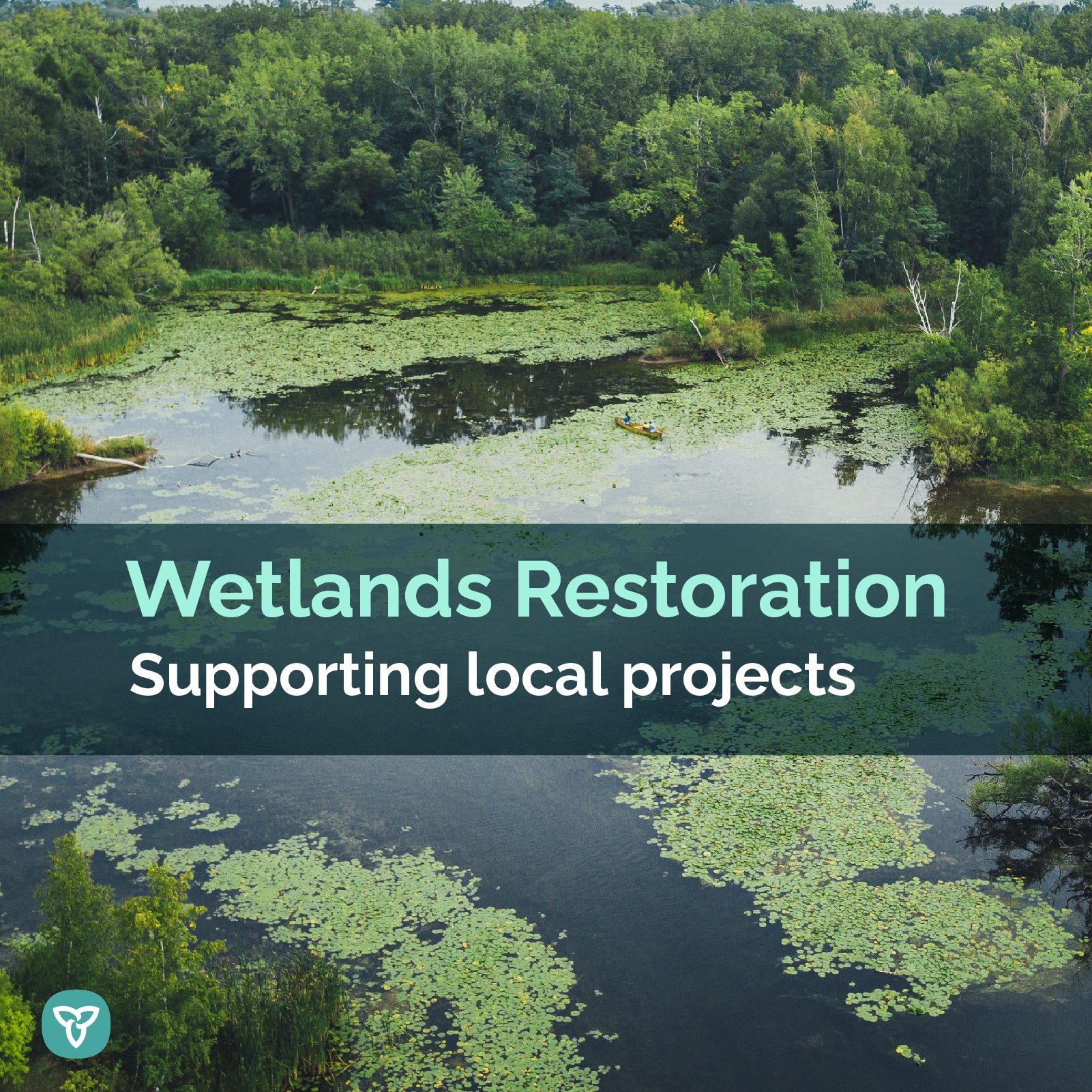 Environment Ontario on Twitter: "#DYK as part of the Wetlands ...