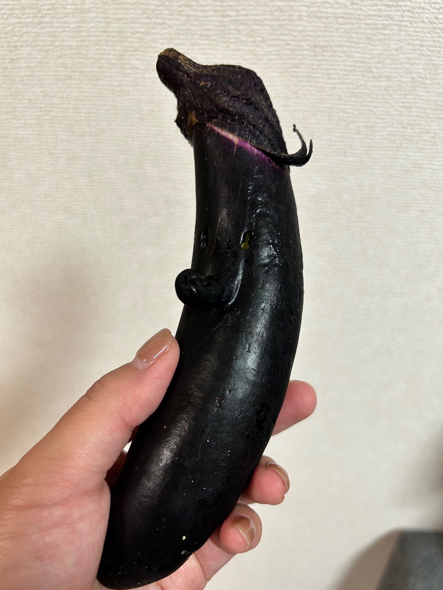 （New ）narumi🥀💛第10回with Bouquet on Twitter: "7/21(金)RT対象3️⃣ 引用RT #RT希望 鼻があるナス🍆 今日はナスの甘辛煮 アク抜きしたナス ...