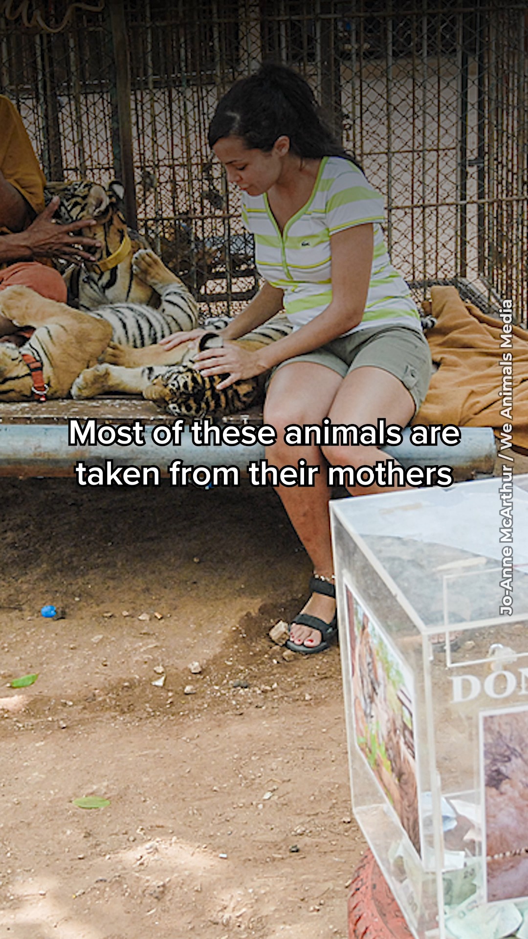 PETA on Twitter: "Instagram vs. reality. Don’t be fooled by the polished pics you see on your ...