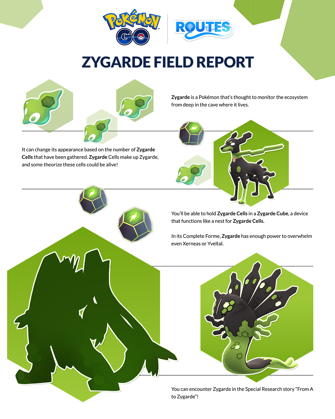 Pokemon Zygarde