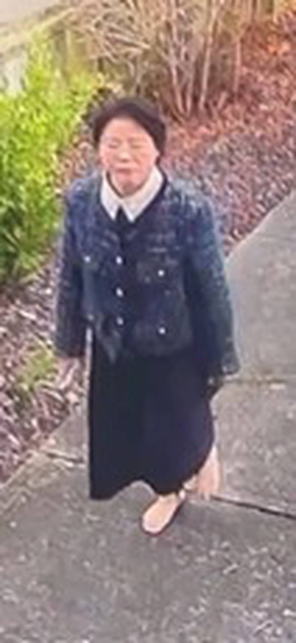 Ani Obrien On Twitter People In Christchurch Missing Real Estate