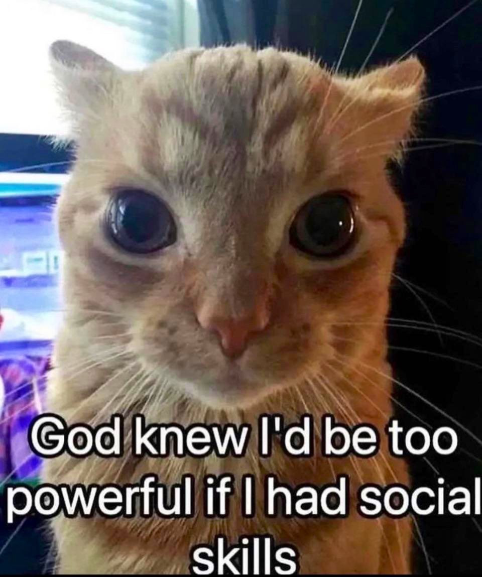 God Of The Internet Cat