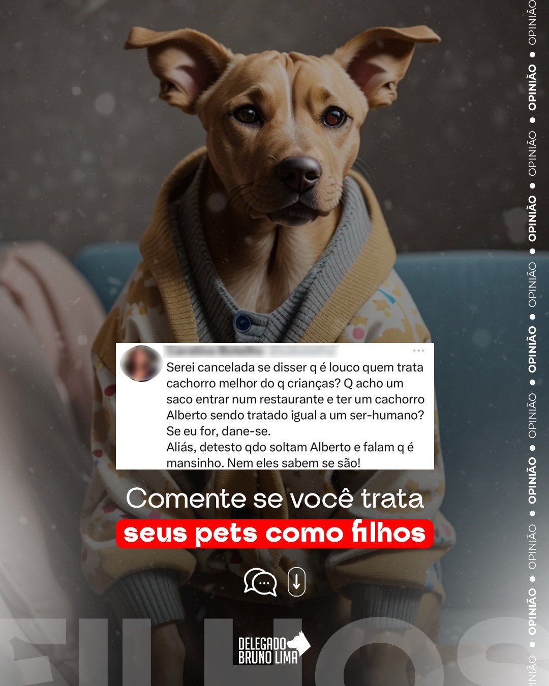 Delegado Bruno Lima on Twitter: "Comentário que viralizou na Internet recentemente, onde uma ...