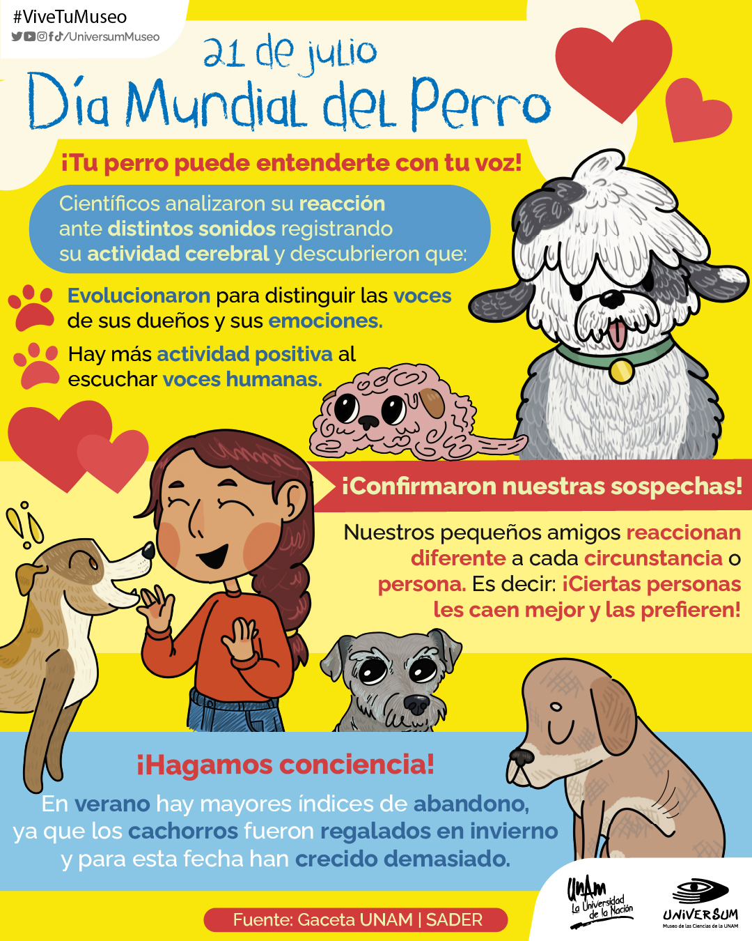 Hay Un Dia Internacional Del Perro