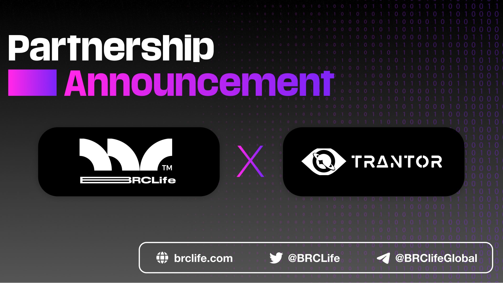 BRCLife on Twitter: "🚀 Exciting Partnership News! 🤝 #BRCLife and @TrantorDAO join forces ...