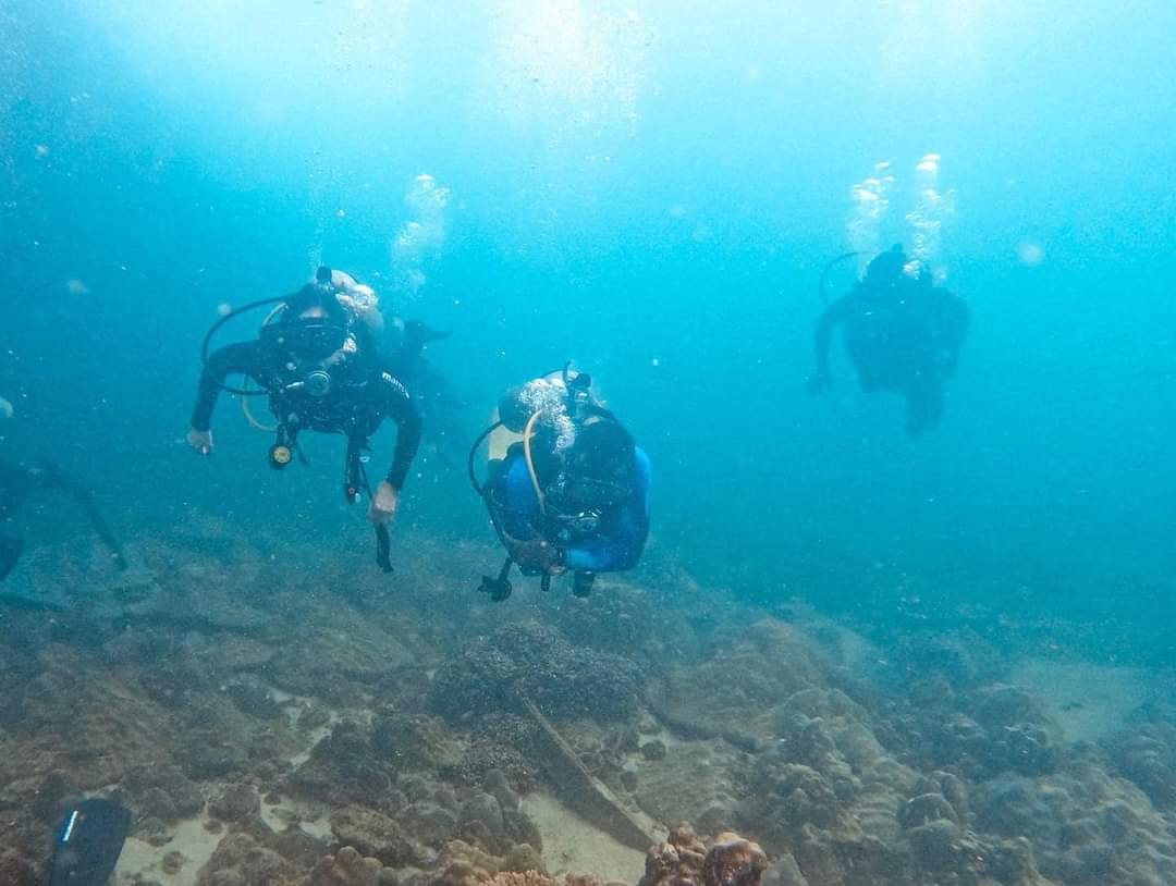 NewsWire 🇱🇰 on Twitter: "US Ambassador to Sri Lanka Julie Chung recently had a diving experience ...