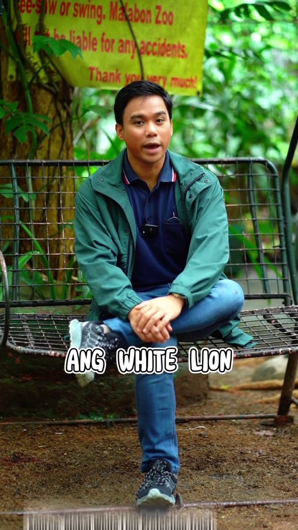 ABS-CBN News on Twitter: "🚨New Baby Alert 🚨 Makikulit kasama si @Michael_Delizo sa Malabon Zoo ...