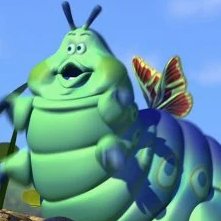 Caterpillar Bugs Life