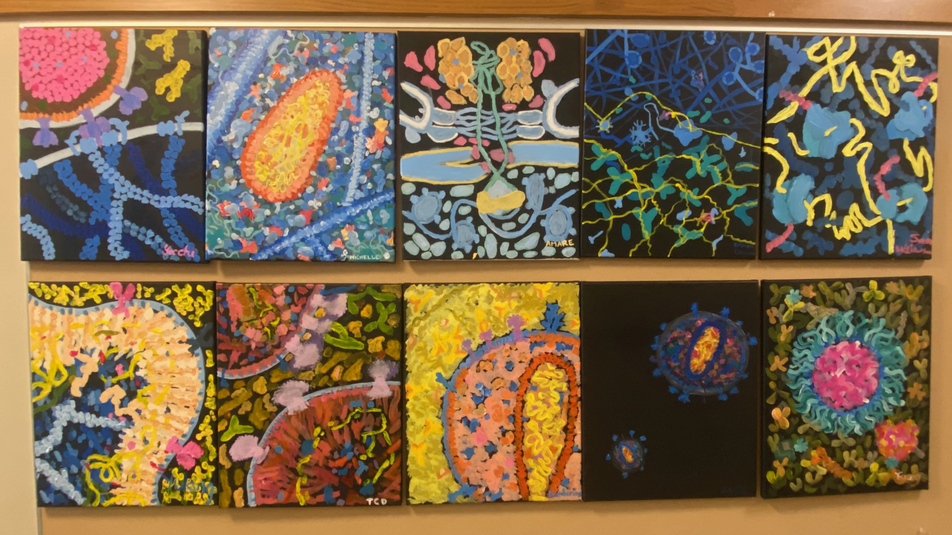 Ya-Chi Ho on Twitter: "Learning HIV life cycle by recapitulating @dsgoodsell's beautiful and ...